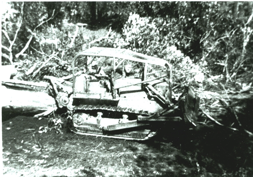 Barney Bell - driving caterpillar D6 snigging logs for Bell's Sawmill ...