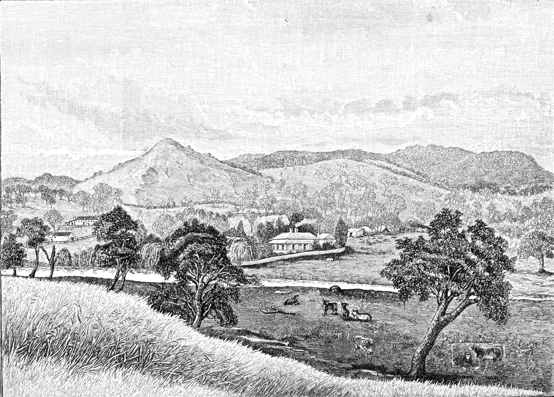 Wappan Station on the Delatite River - High Country History Hub