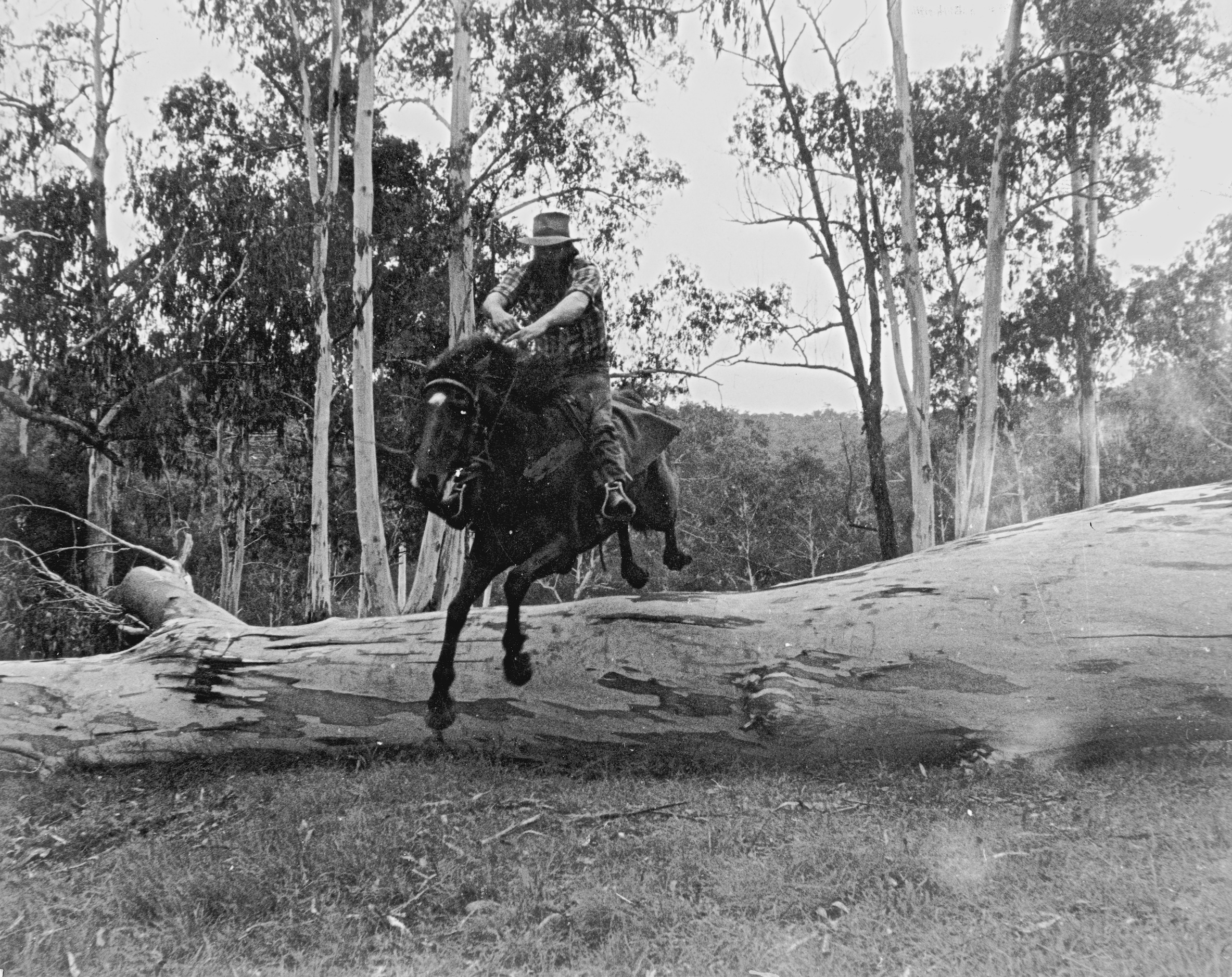 Mansfield Mountain Country Festival. Charlie Lovick competing in "The ...