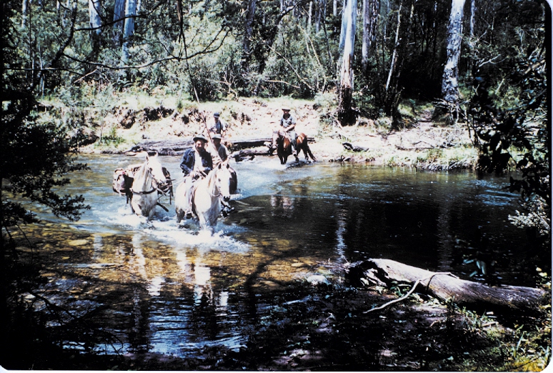 Crossing Howqua River. Surveying the new road - Brocks Road - High ...