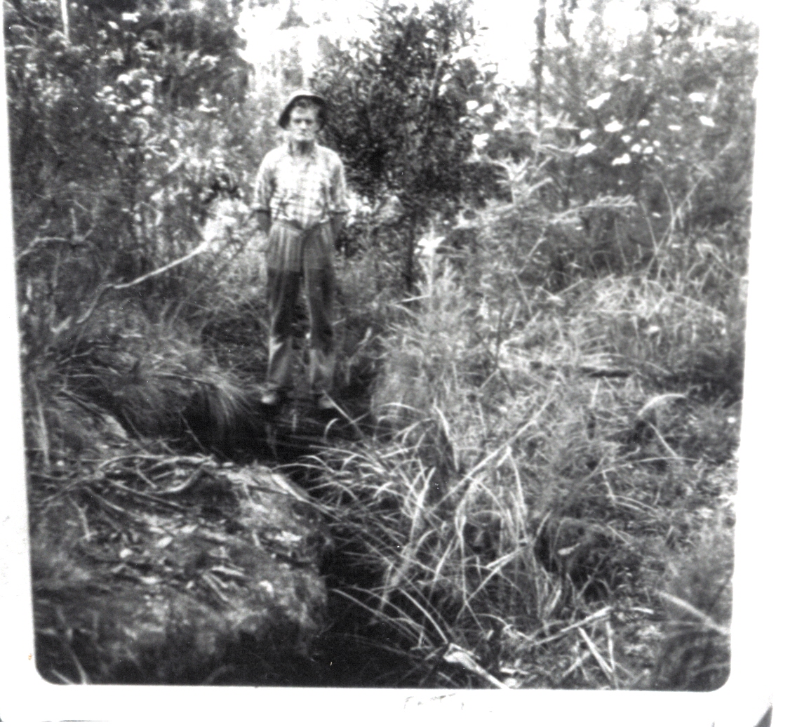 Jack Healy behind Kelly Tree at Stringybark Creek - High Country ...