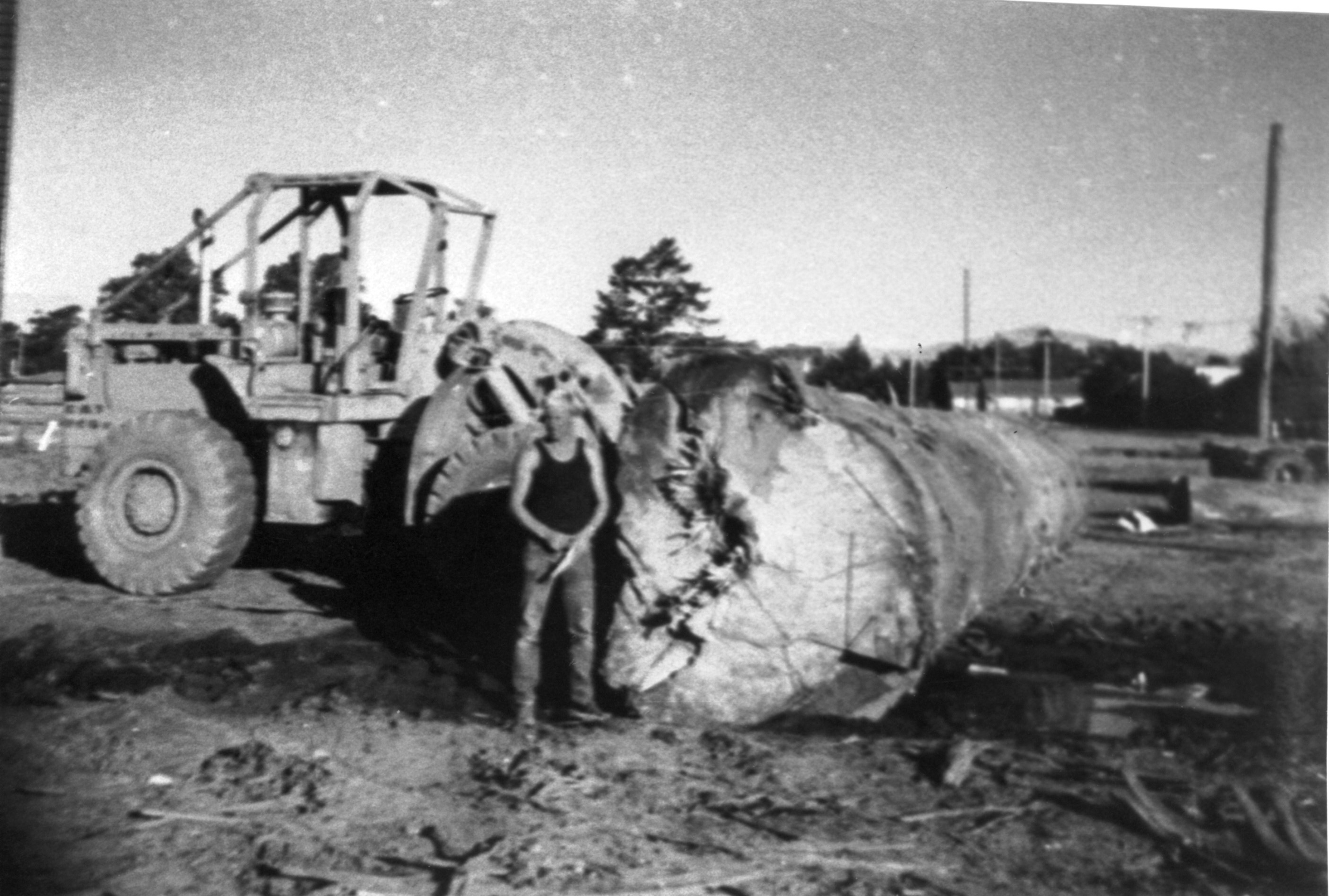 John Peachey unloading 17.5 m white gum log - High Country History Hub