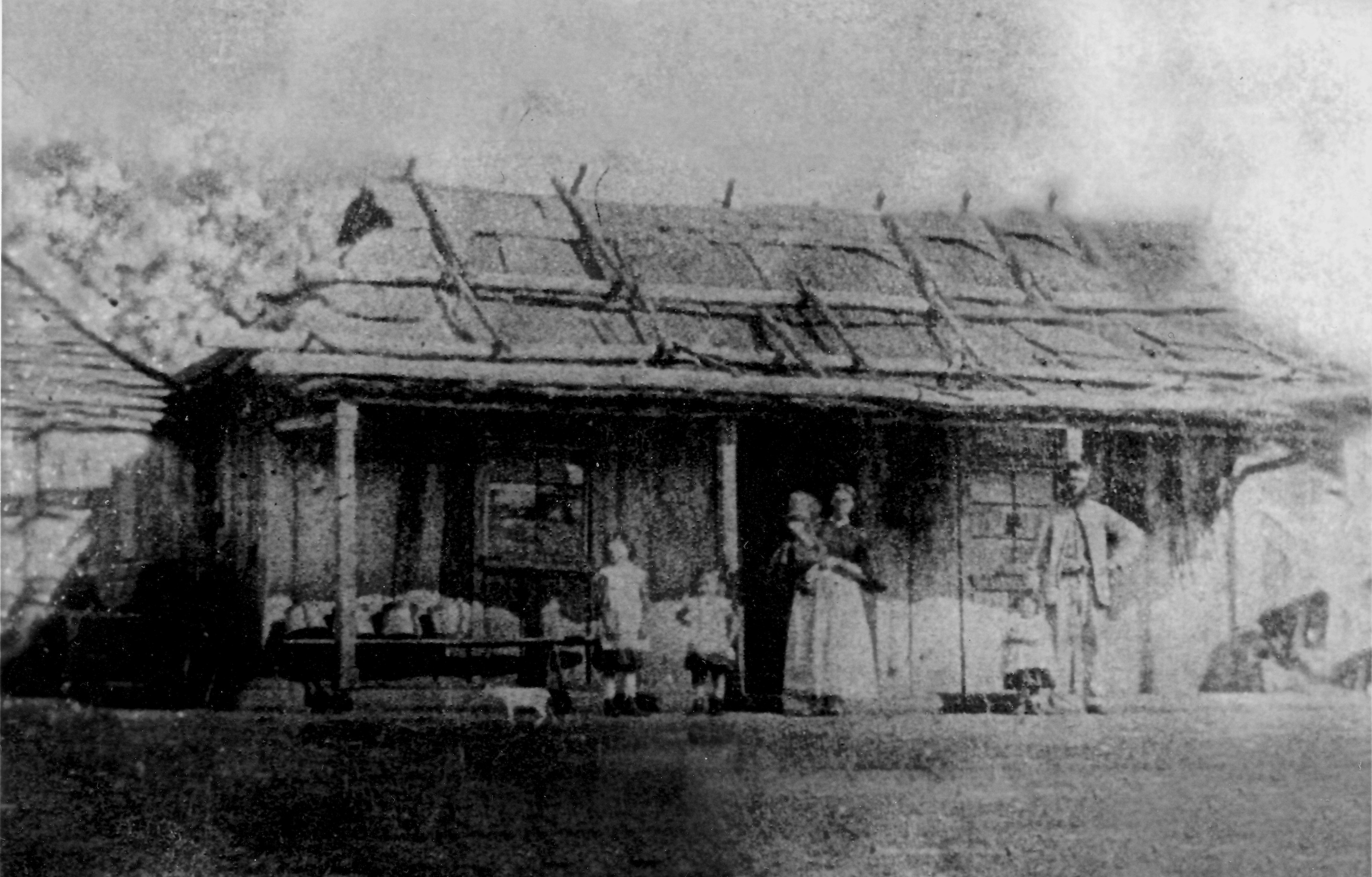 Bark Hut, Shamrock Vale - High Country History Hub