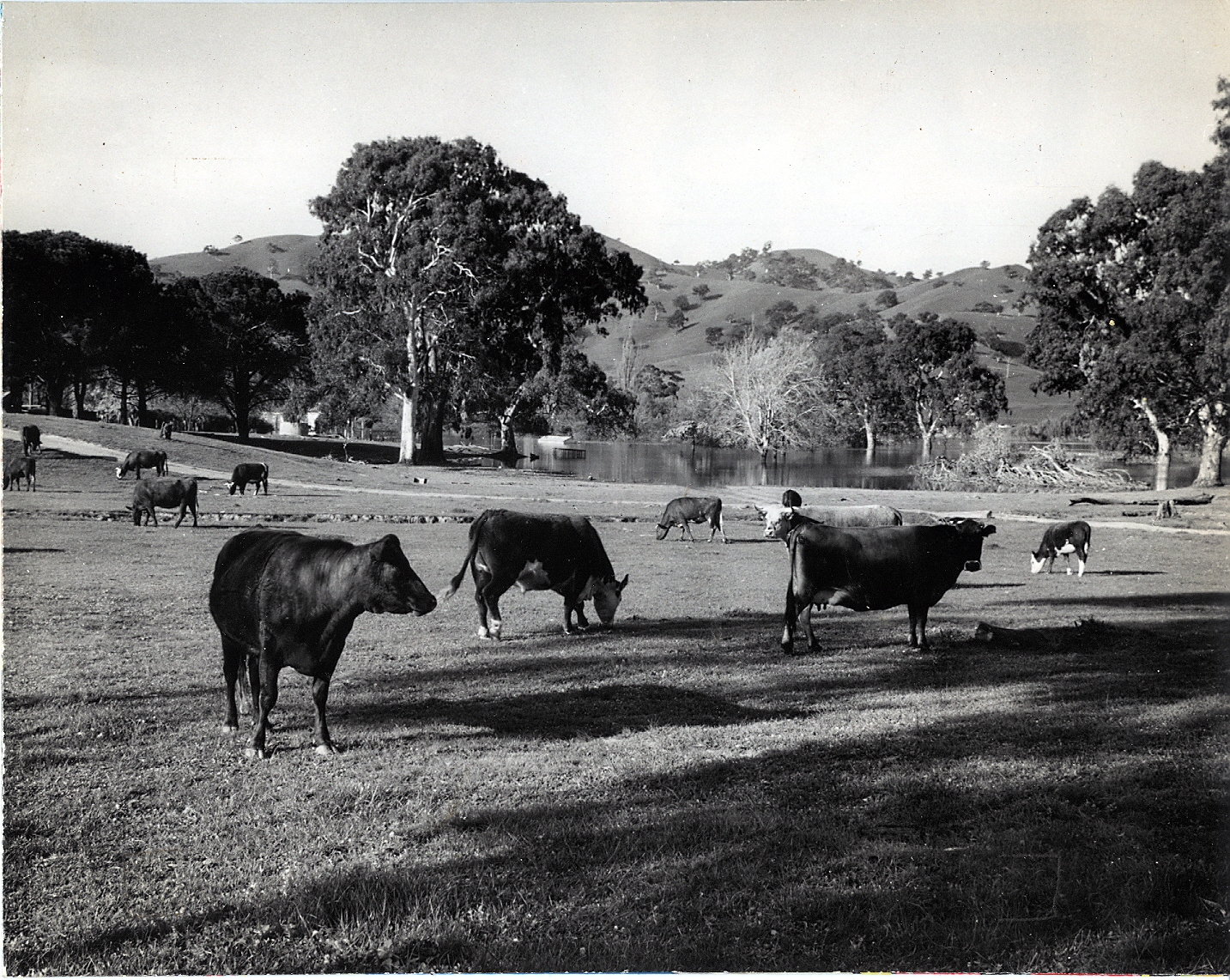 Wappan - Eildon Dam - High Country History Hub