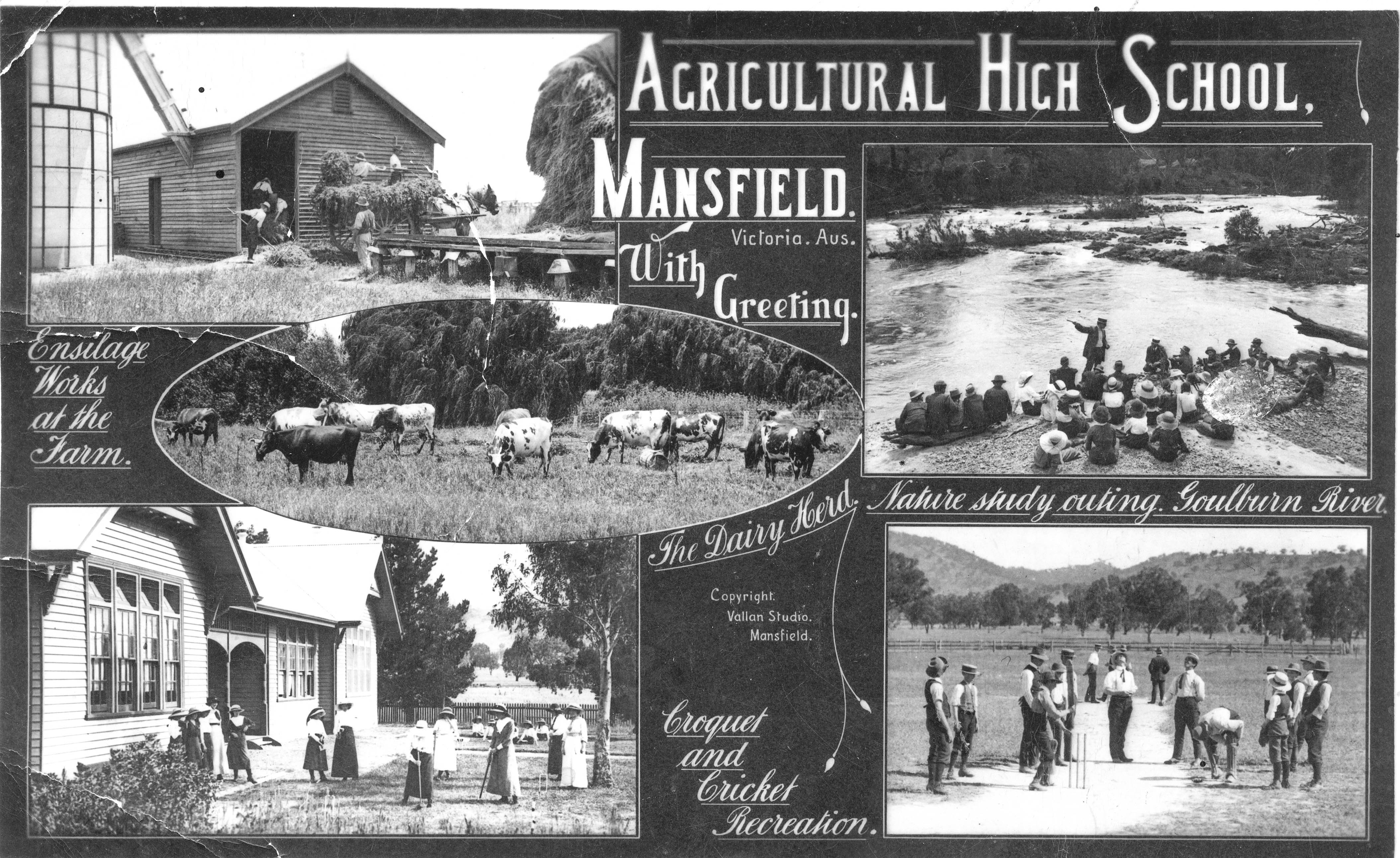 Postcard showing Mansfield scenes. - High Country History Hub