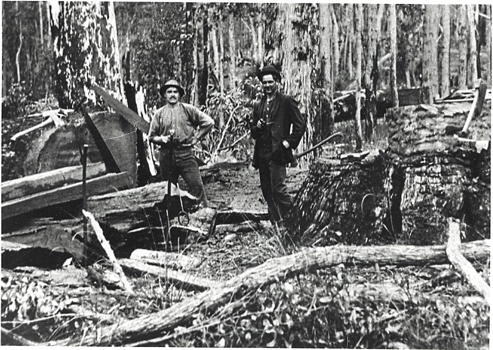 Sleeper Cutters - with their tools of trade. - High Country History Hub
