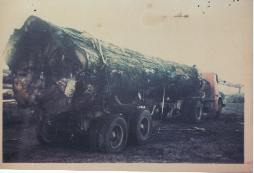 One log - one truck load. McMillans D.S.M. Sawmill - High Country ...
