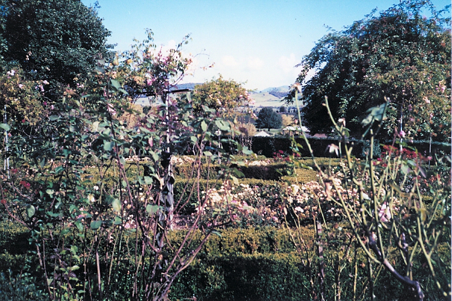 Delatite Station - View of the rose garden. - High Country History Hub