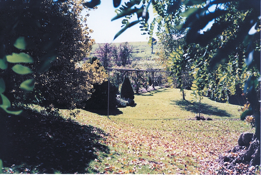 Delatite Station - North end of tennis court with pergola behind ...