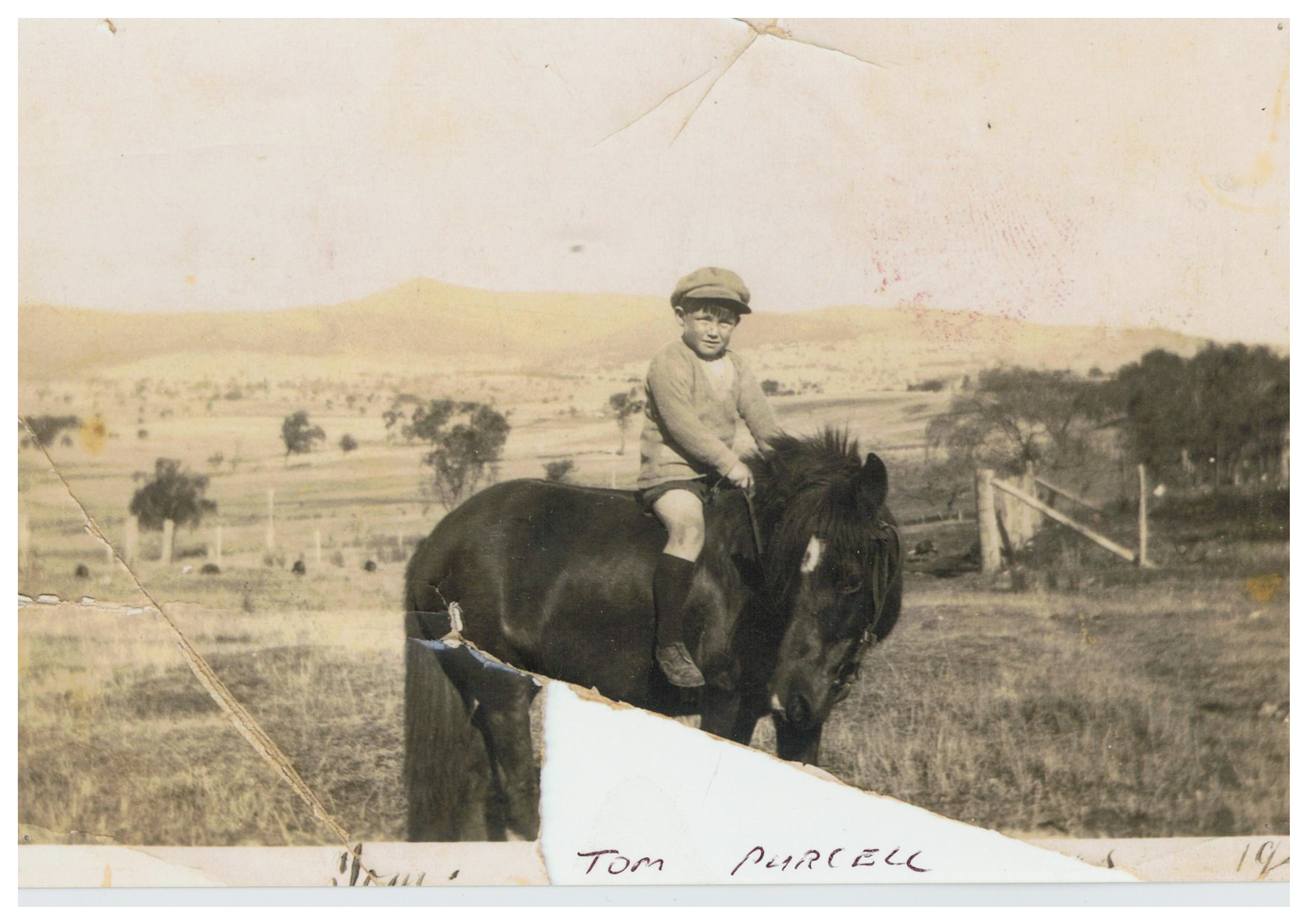 PURCELL FAMILY COLLECTION. YOUNG TOM PURCELL ON HORSEBACK IN MERRIJIG ...