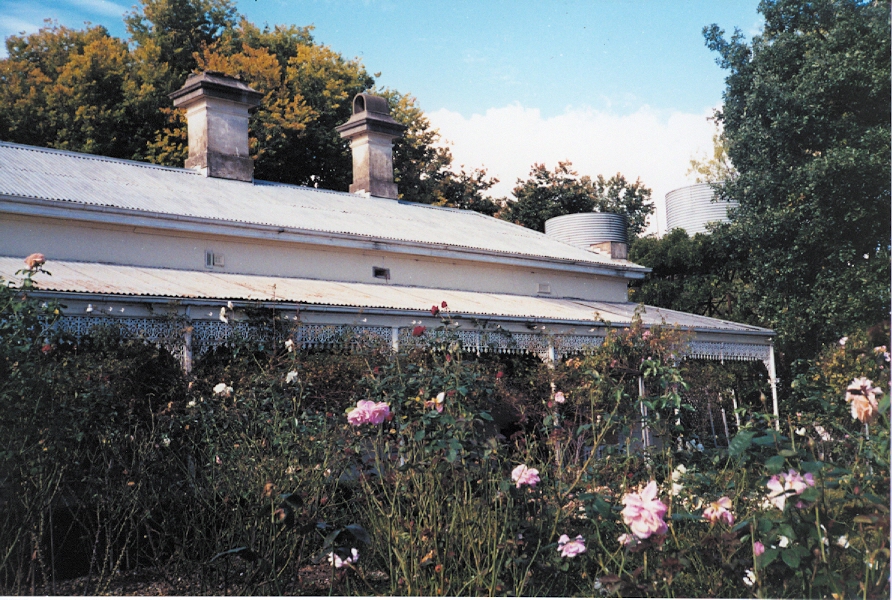 Delatite Station - View of the rose garden. - High Country History Hub