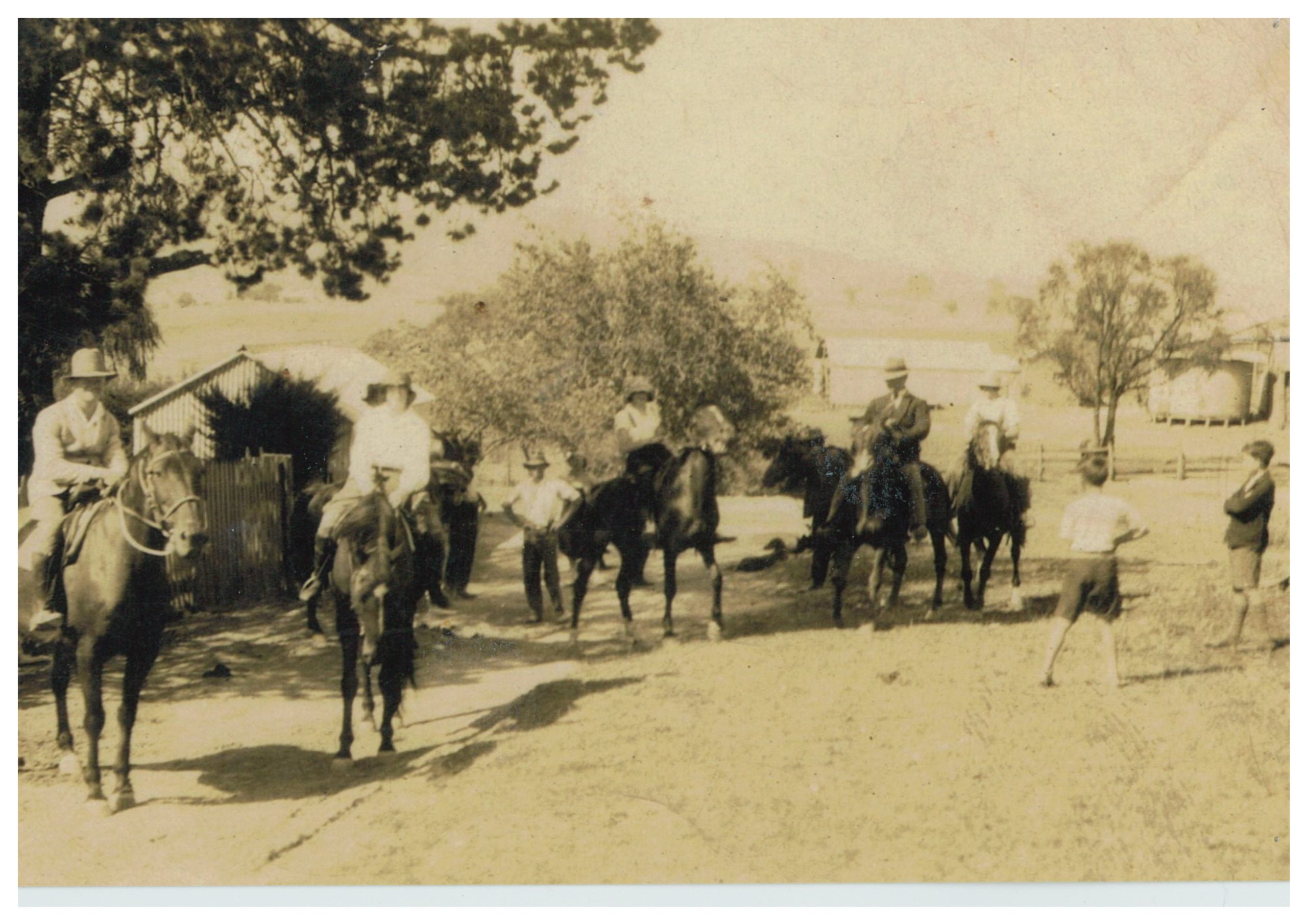 PURCELL FAMILY COLLECTION. PEOPLE ON HORSES. - High Country History Hub