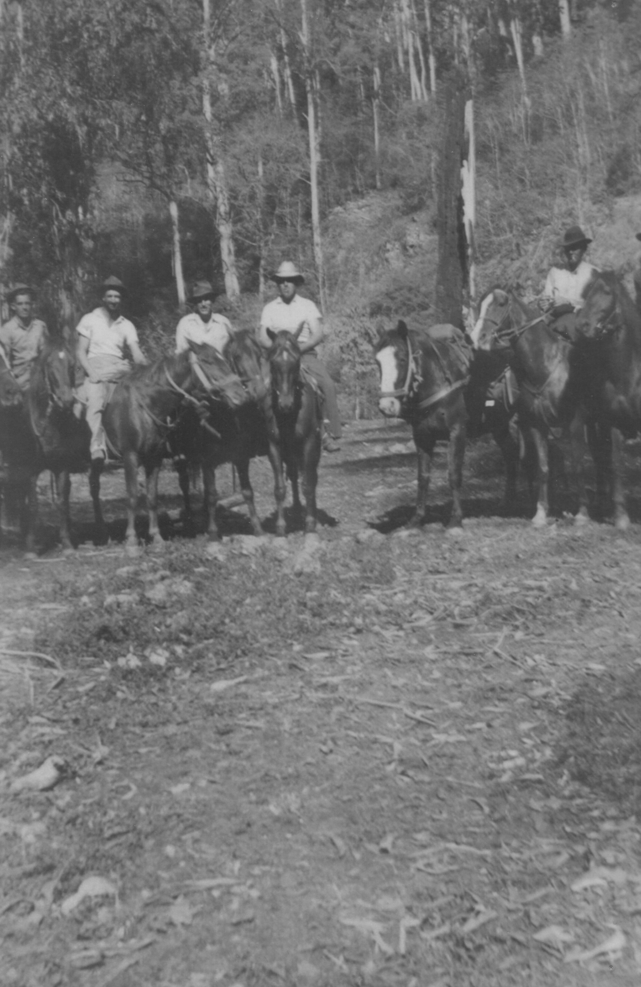 PURCELL FAMILY COLLECTION. 5 MEN ON HORSEBACK - High Country History Hub