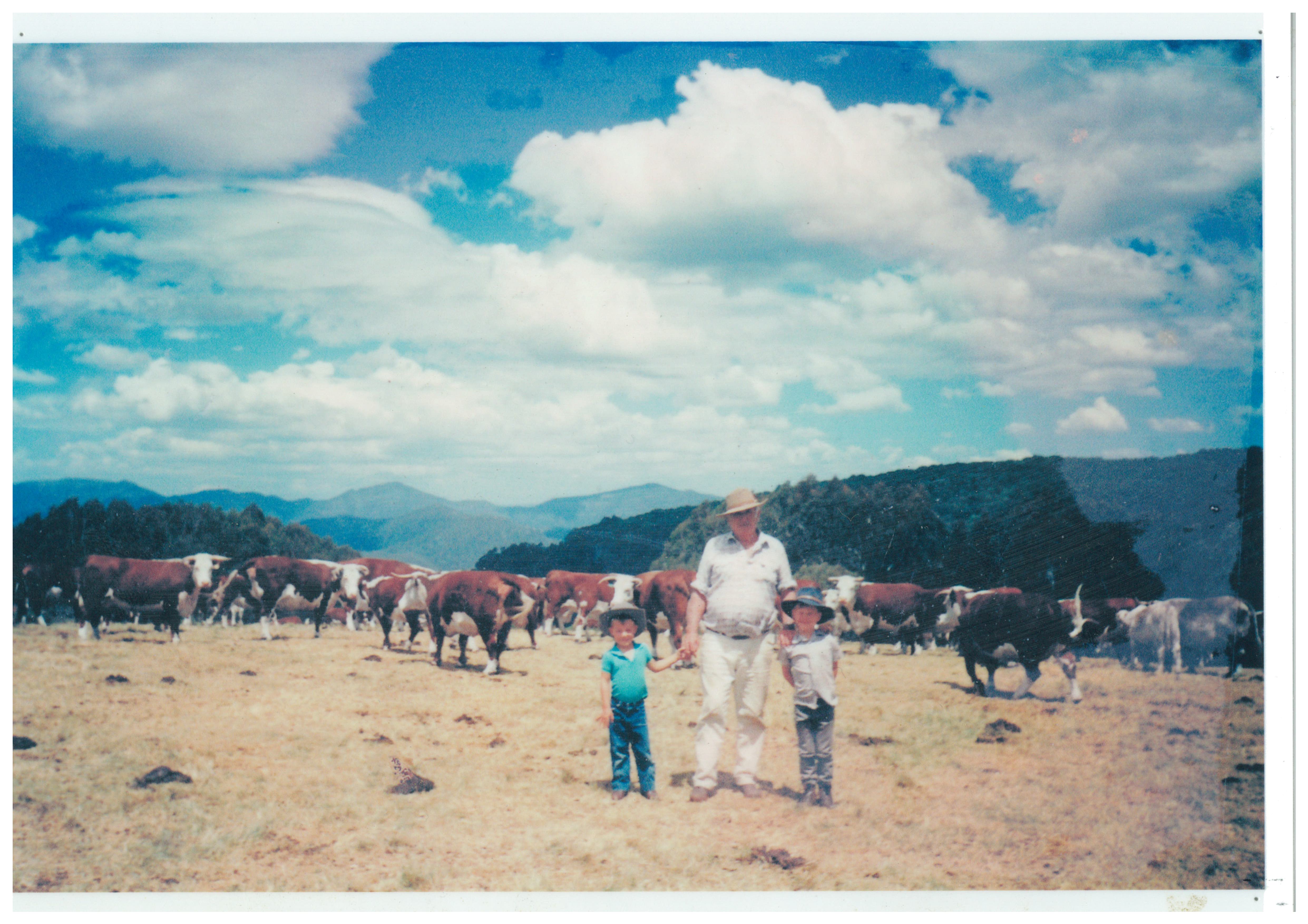 PURCELL FAMILY COLLECTION. PURCELL CATTLEMEN WITH THE HERD - High ...