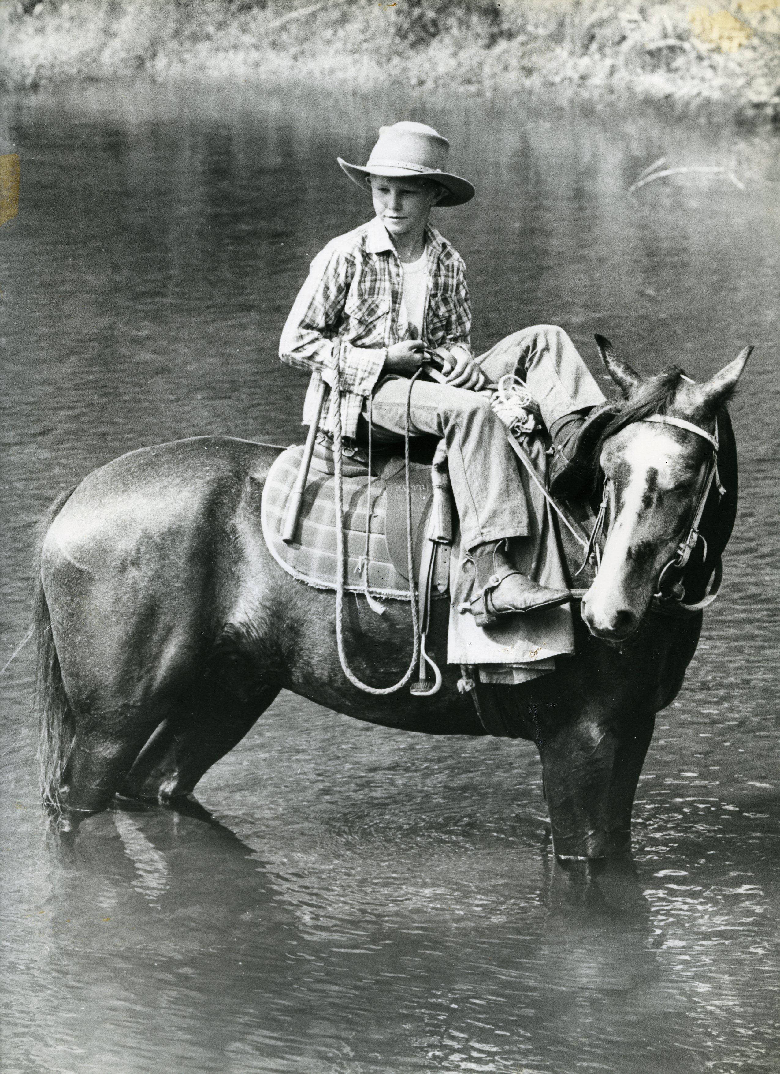 DROVING IN GIPPSLAND ALBUM. HORSE IN RIVER WITH BOY ON BACK. - High ...