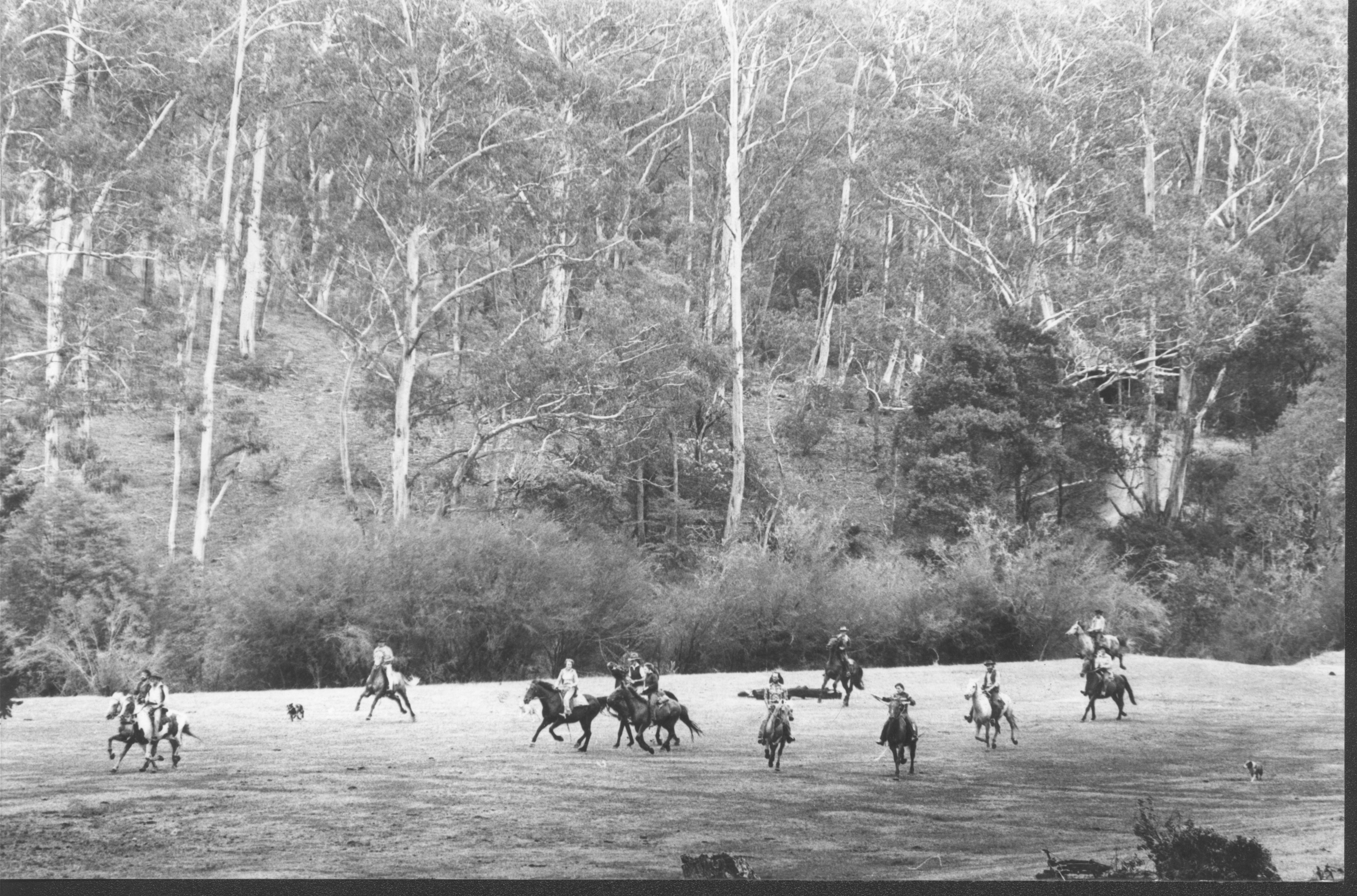 JACK LOVICK (ON REARING HORSE) - High Country History Hub