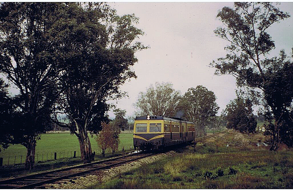 LANCE ADAMS' ALBUM MELBOURNE-MANSFIELD RAILWAY 1883-1978. 280HP WALKER ...