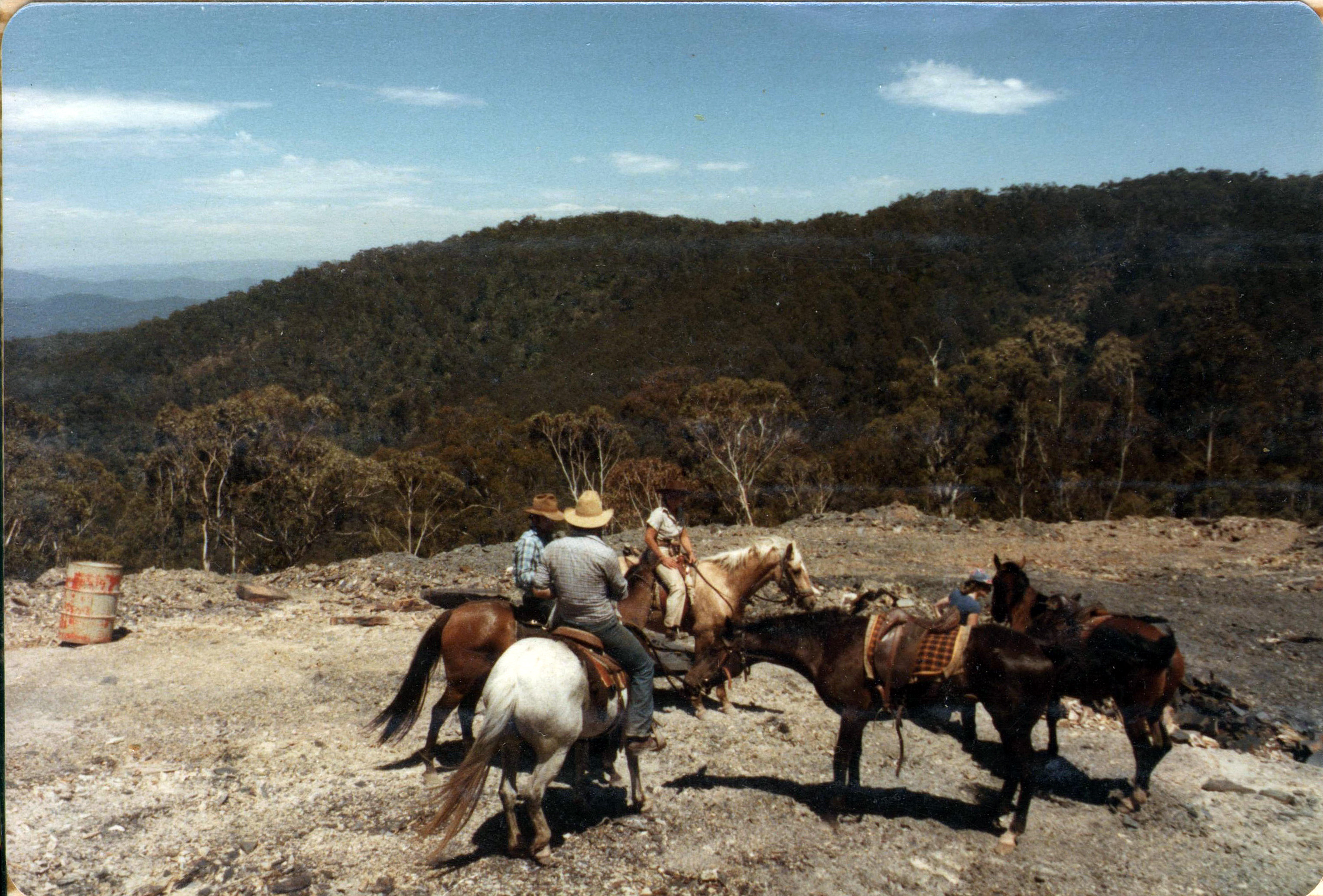 DICK FORREST AND PETER PURCELL, TAKING CATTLE INTO MITCHELLS CREEK FOR ...