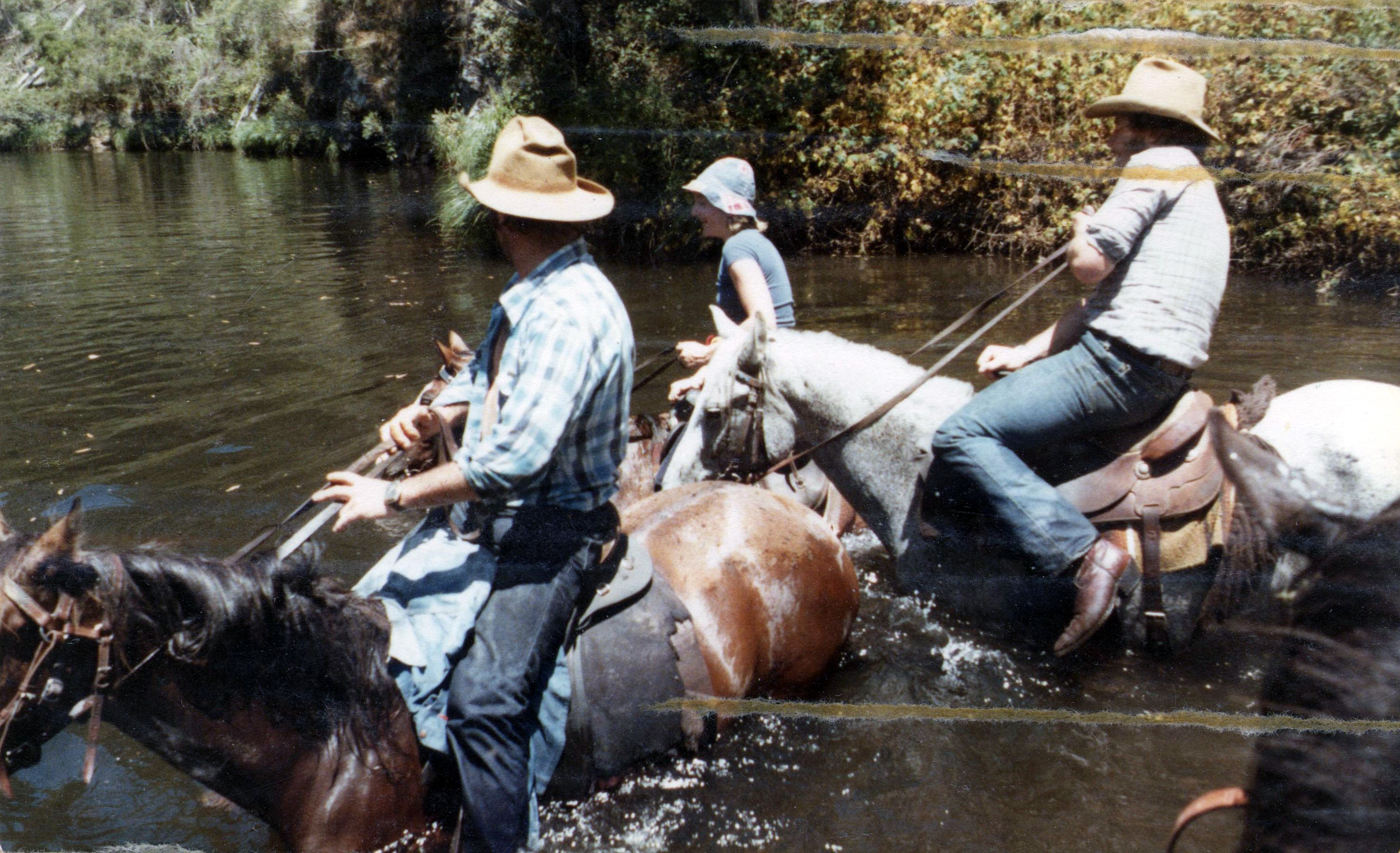 DICK FORREST AND PETER PURCELL, TAKING CATTLE INTO MITCHELLS CREEK FOR ...