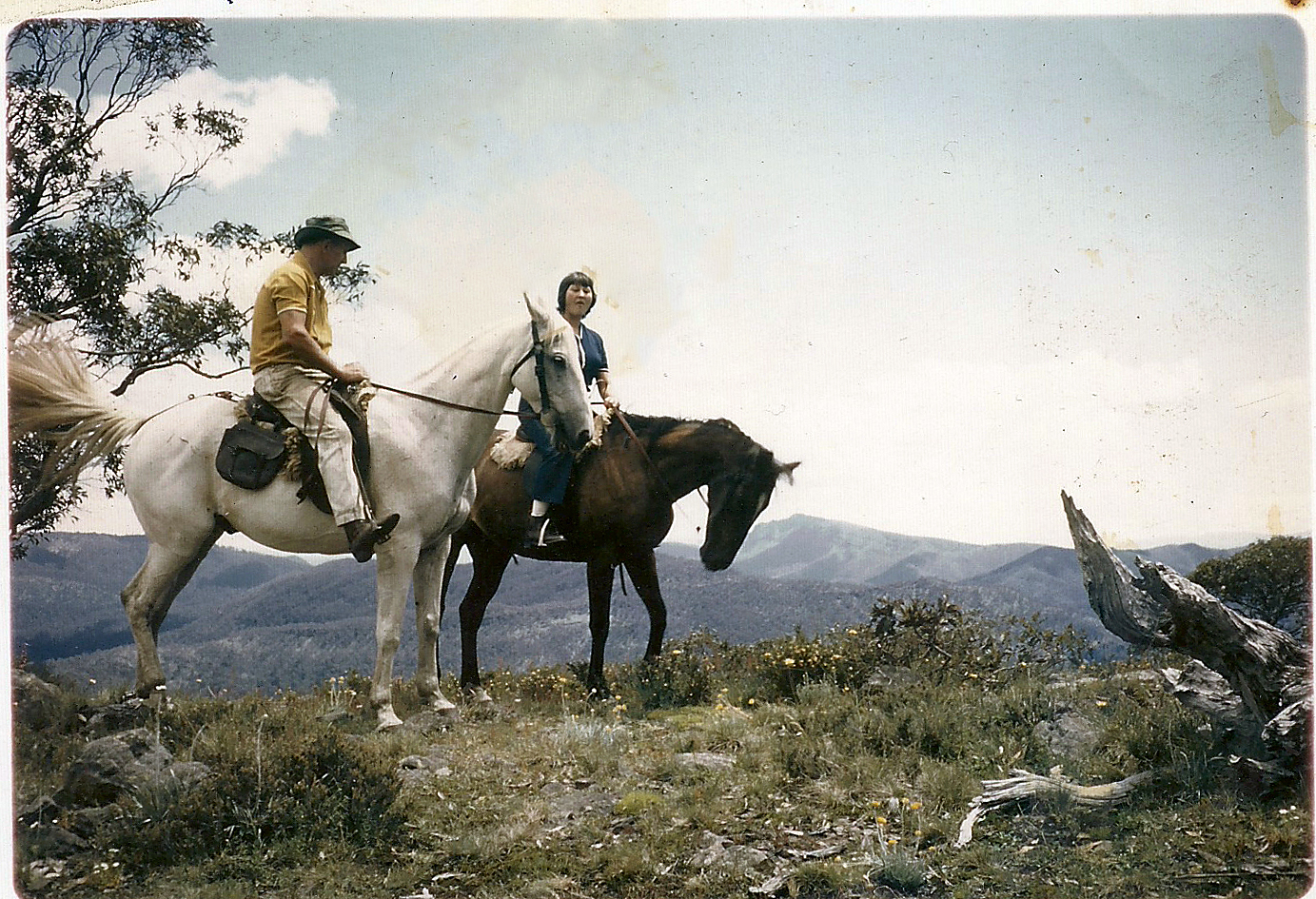 LOVICK FAMILY COLLECTION. JACK LOVICK AND PLAYBOY - High Country ...