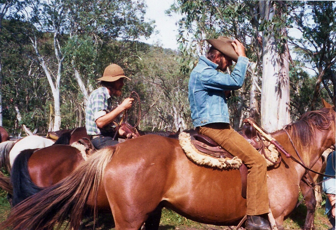 LOVICK FAMILY COLLECTION. JOHN AND CHARLIE LOVICK - High Country ...