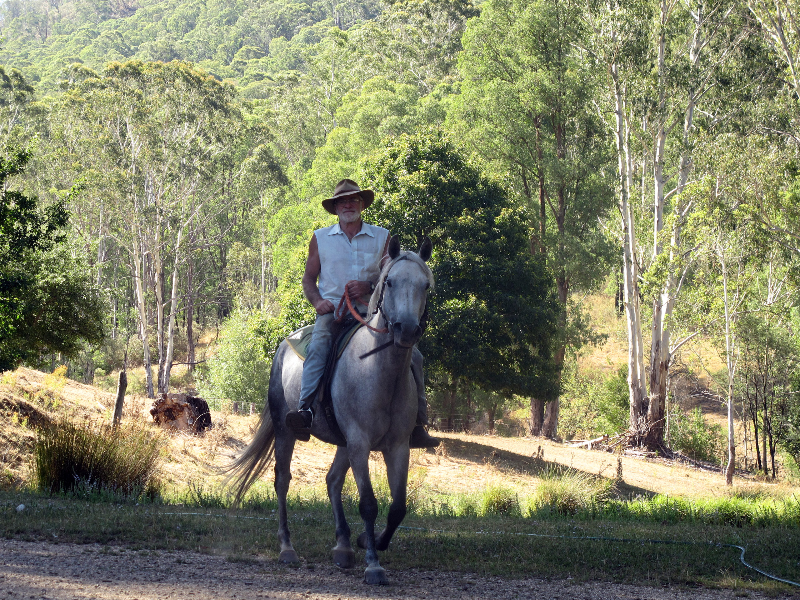 GRAEME STONEY COLLECTION. MOUNTAIN CATTLEMEN GRAEME STONEY AT STOCKYARD ...