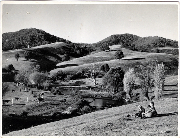 Upper Delatite River with typical grazing country. - High Country ...