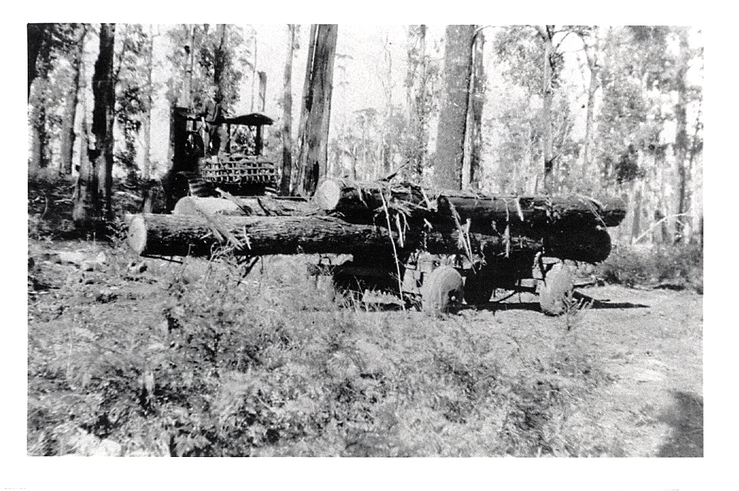 Tractor engine loading logs on log buggy (timber jinker) - Toombullup ...