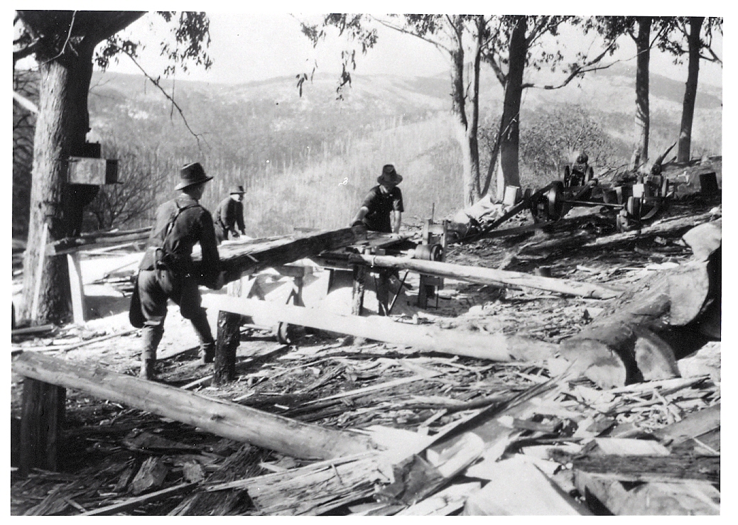 Jack and Paddy Healy assisting with the Mt Buller Chalet construction ...