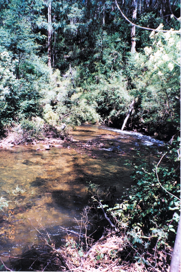 Jordan River at old gold mining town of Red Jacket. - High Country ...