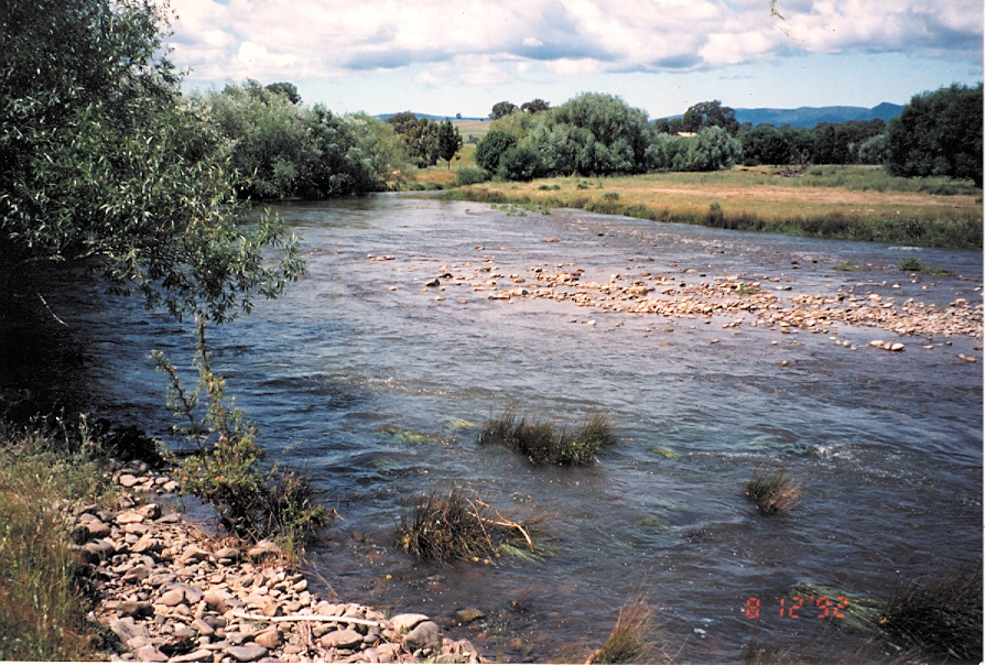 Delatite River - Hearns Crossing -Killarney Lane - High Country History Hub