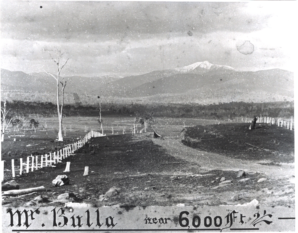 Mt Buller - High Country History Hub