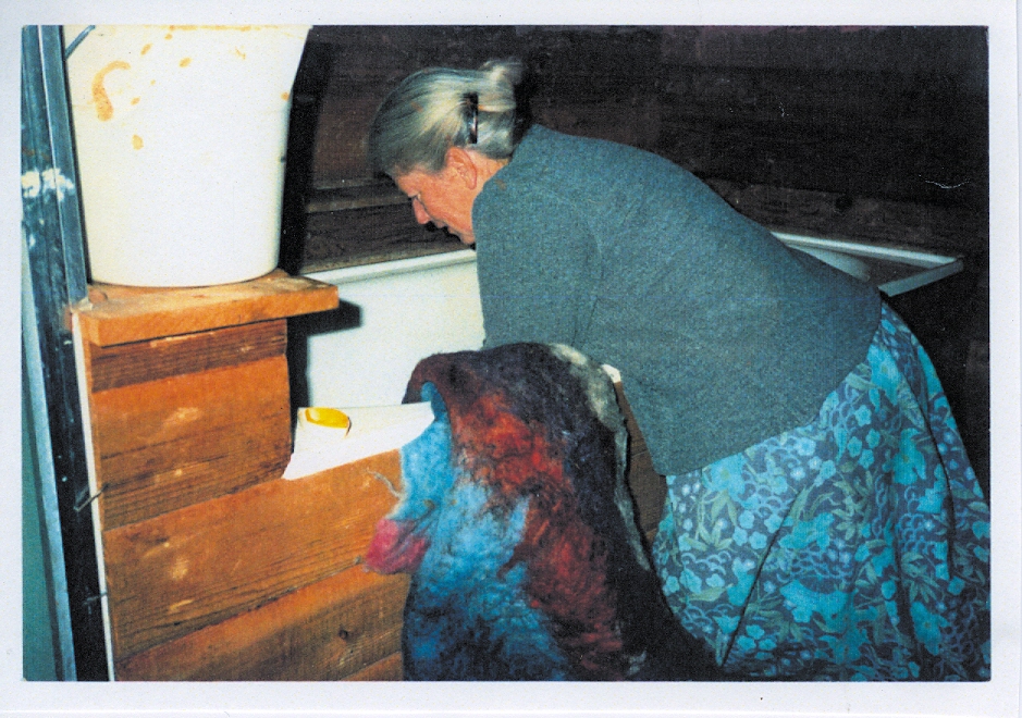 Jean Atkins washing part of the felt mural. - High Country History Hub