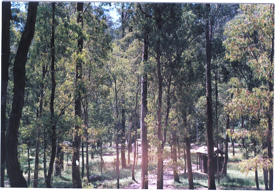 Toilet at Sheepyard Flat - near Pickerings Hut - Howqua - High Country ...