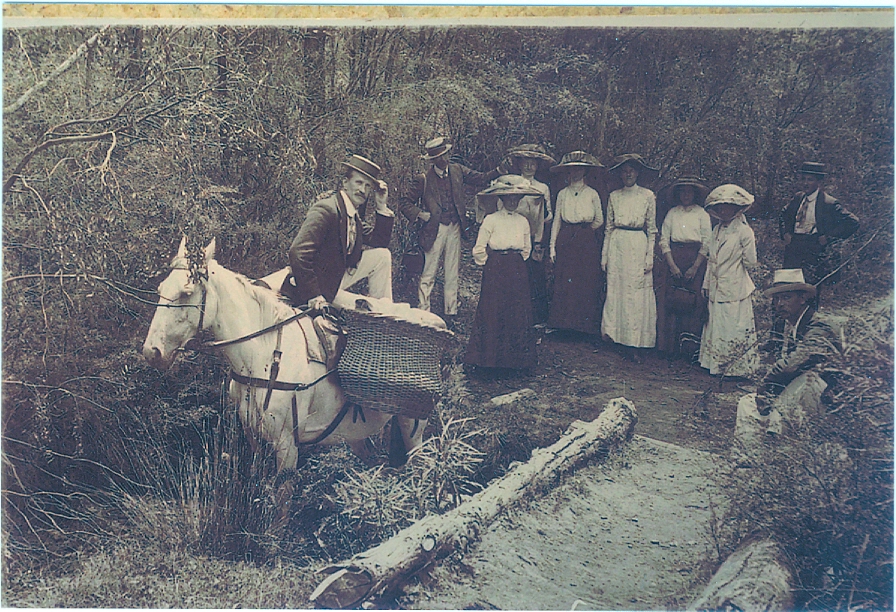 Picnic - High Country History Hub
