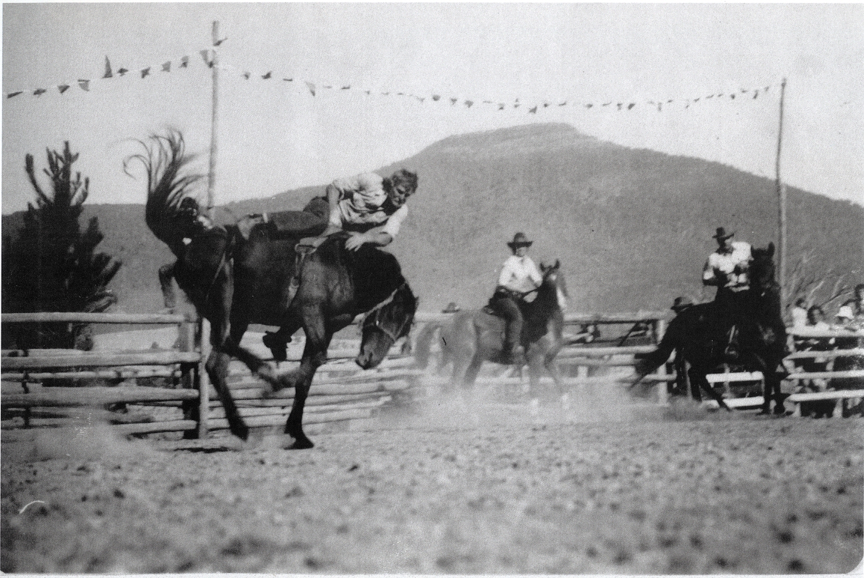 Merrijig Rodeo - Steven Arbuthnot - High Country History Hub
