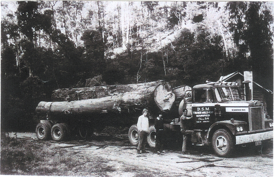 D.S.M. Timber Mills Mansfield Log Truck - High Country History Hub