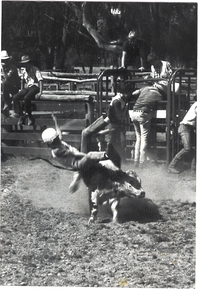 Merrijig Rodeo - High Country History Hub