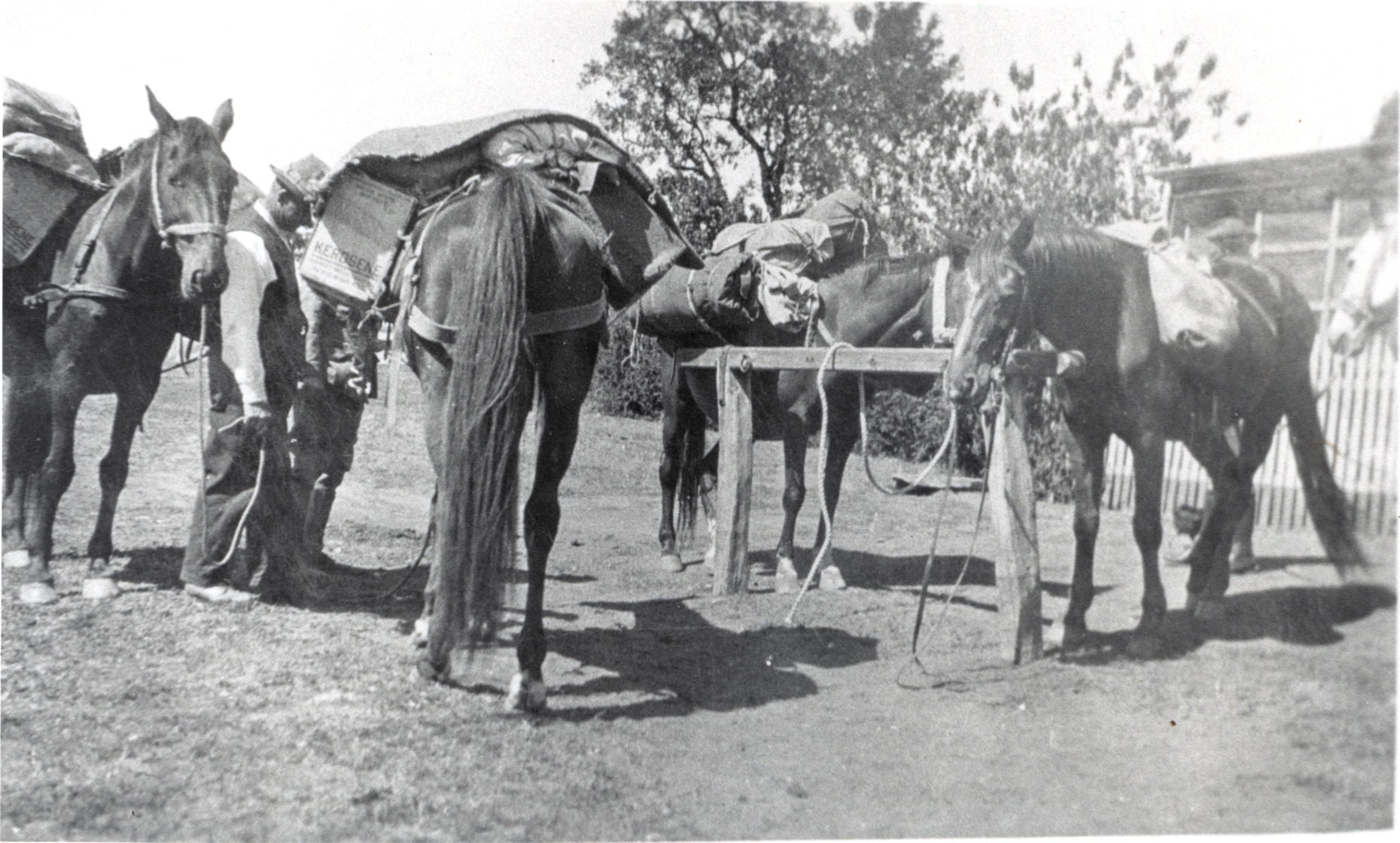 Packing up at Merrijig - High Country History Hub