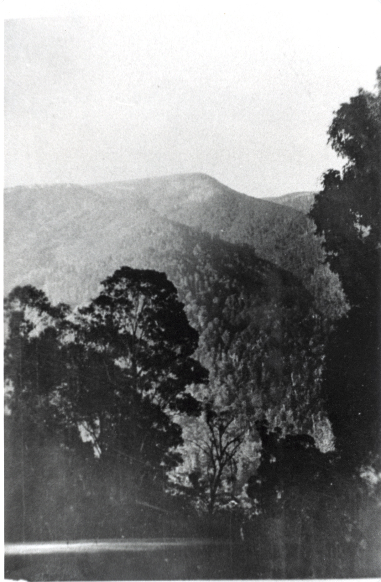 The Pinnacle - High Country History Hub