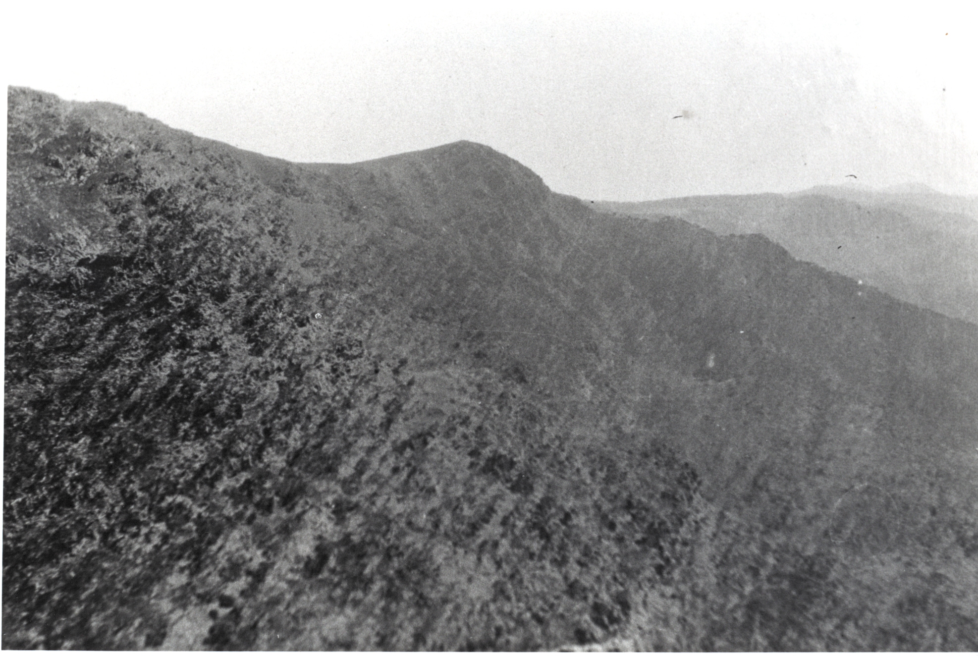 View of Mt Howitt from Speculation - High Country History Hub