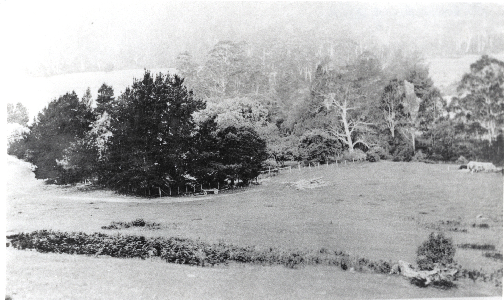Wonnangatta Homestead - High Country History Hub