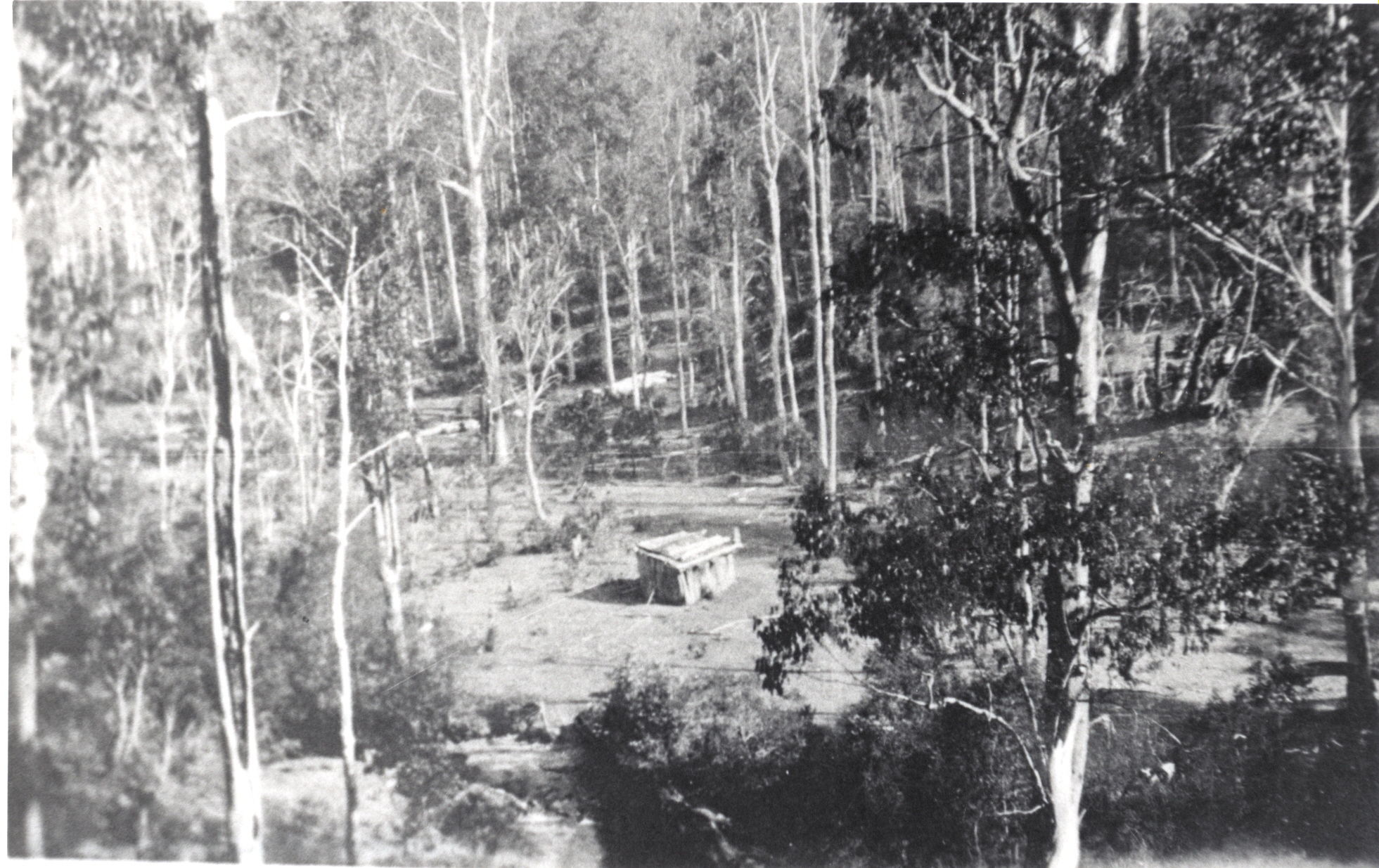 Bindaree Hut - High Country History Hub