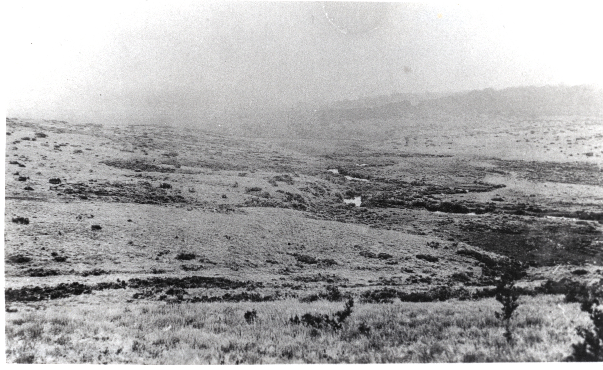 Howitt Plains - High Country History Hub