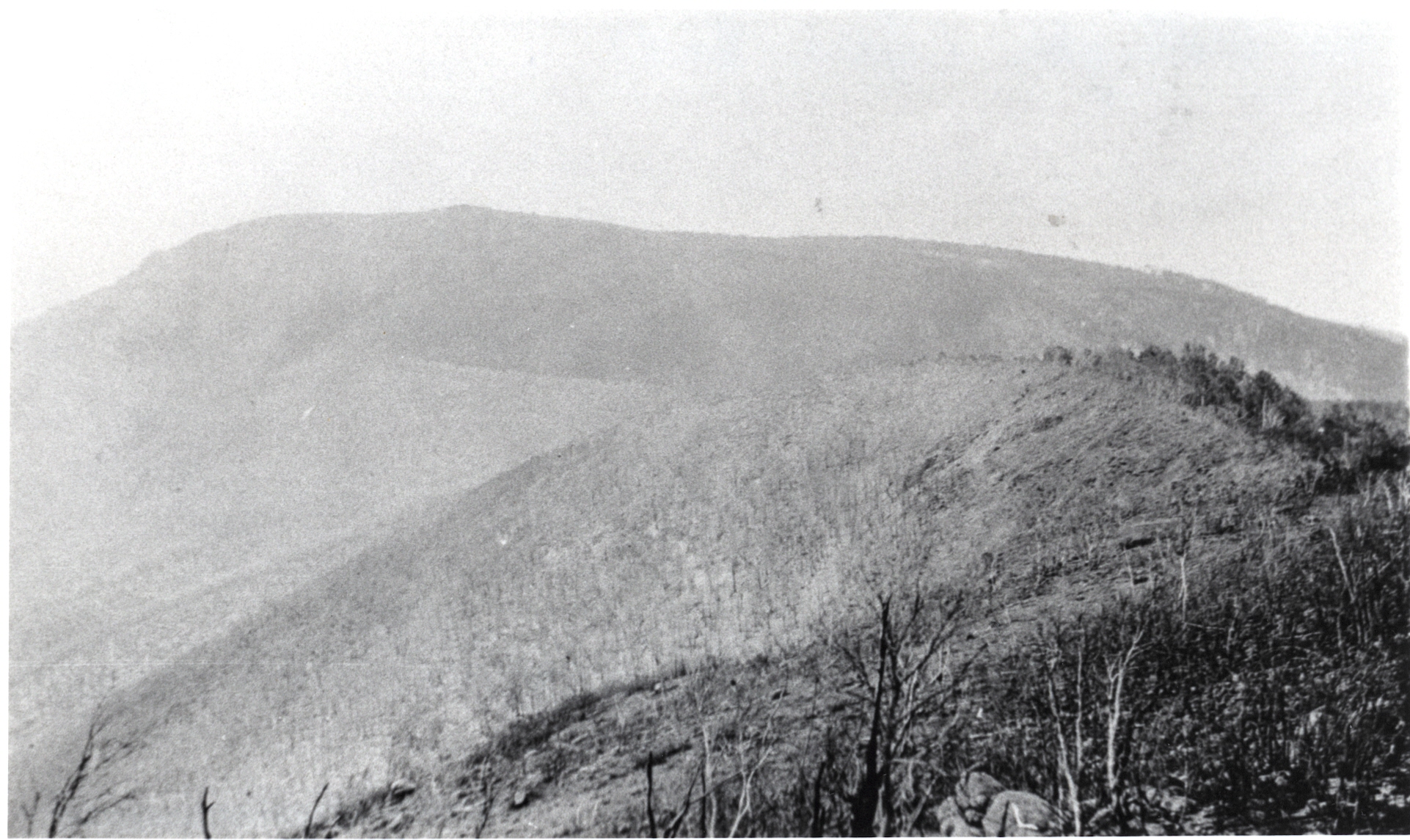 View of Mt Wellington - High Country History Hub