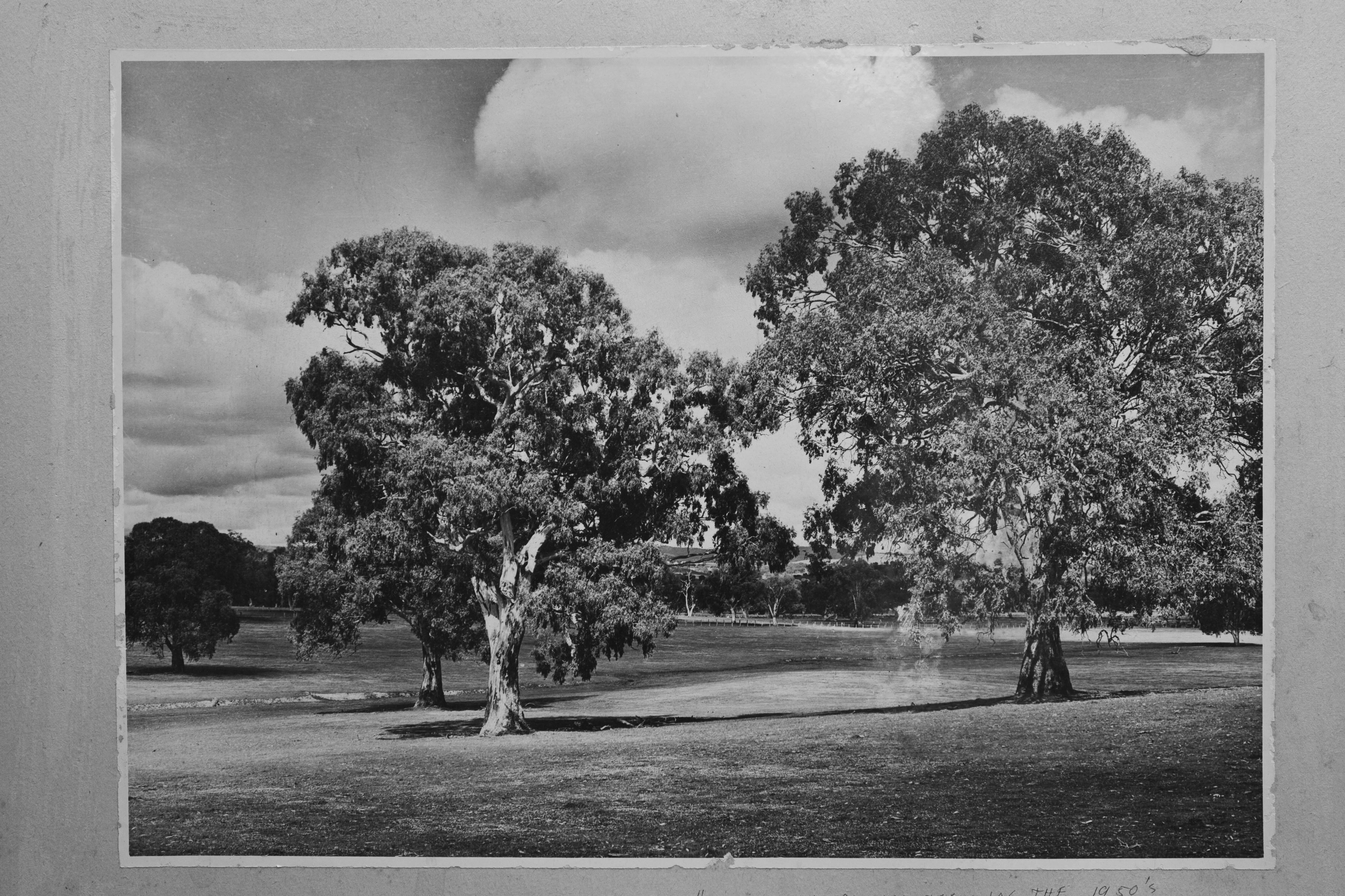 Scene taken in the 1950s by Vic Railways - High Country History Hub
