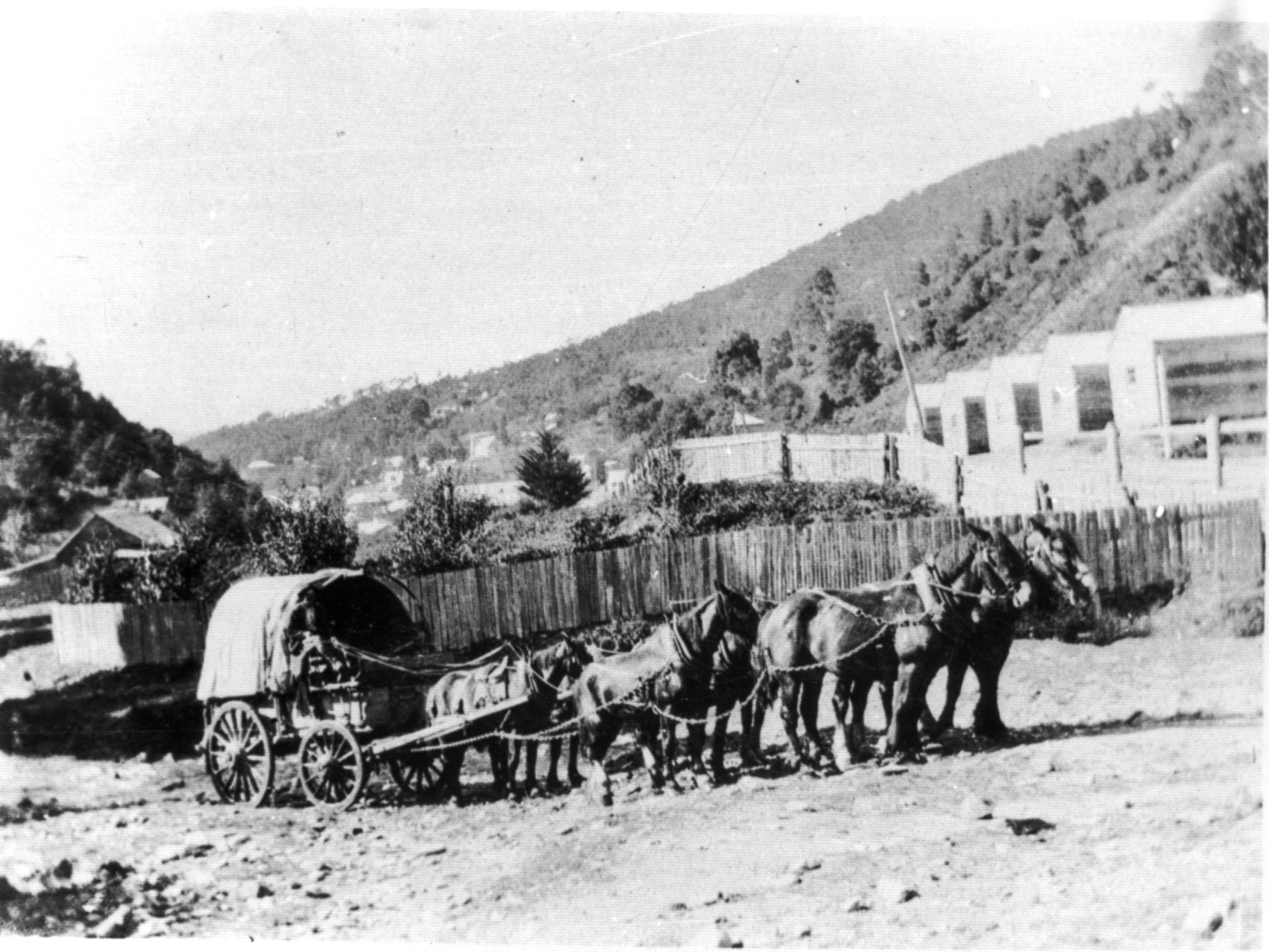 Horse team and covered wagon - High Country History Hub