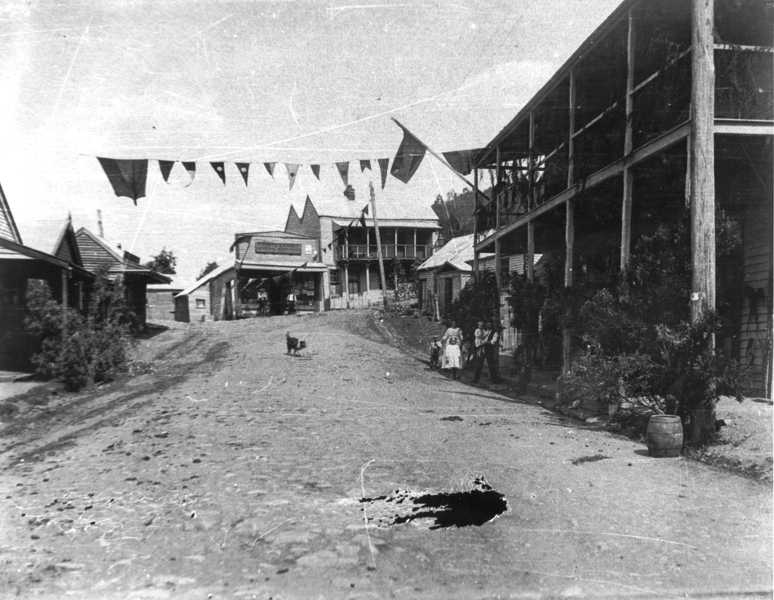 Bridge Street, Woods Point - High Country History Hub