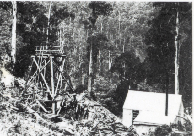 North McIntyres Quartz Mine 1902, Ross Creek. - High Country History Hub