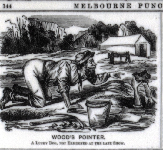 Woods Pointer - a gold mining sketch - a lucky dog, not exhibited at ...